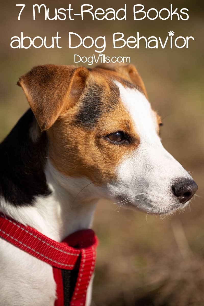 7 Must-Read (& best) books about Dog Behavior & Training- DogVills