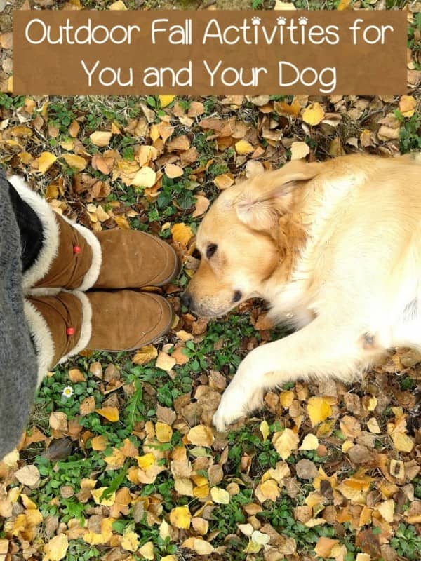Outdoor Fall Activities for You and Your Dog