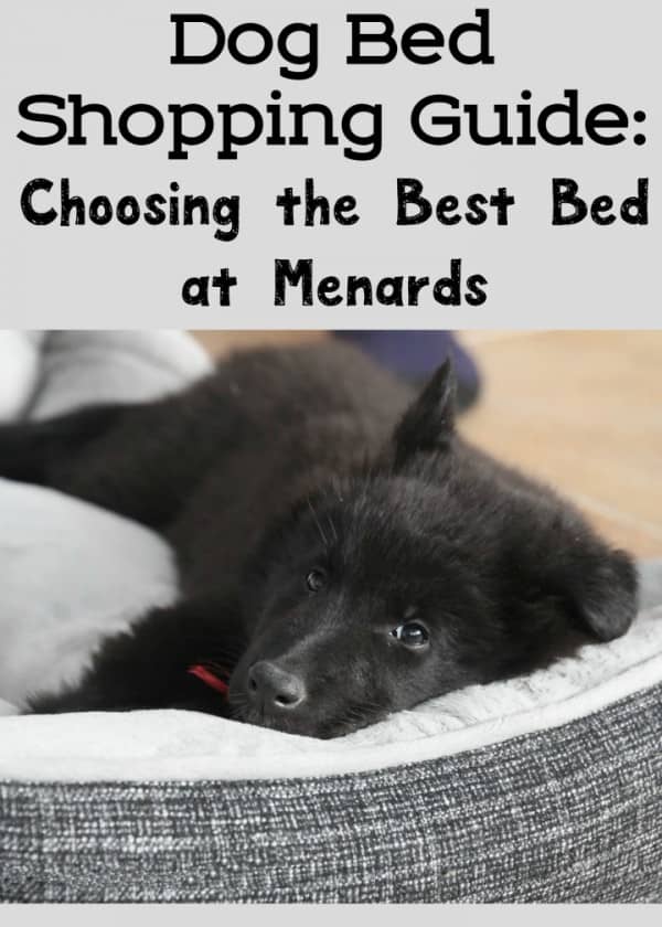 Menards Dog Beds - DogVills