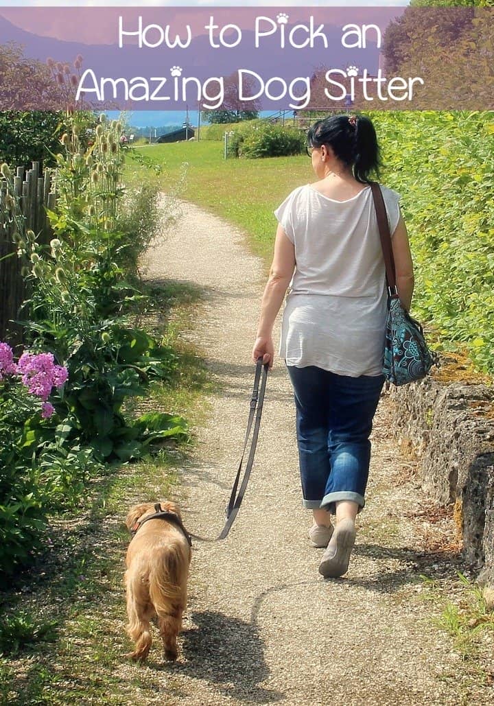 Choosing the Right Sitter for Your Dog -DogVills