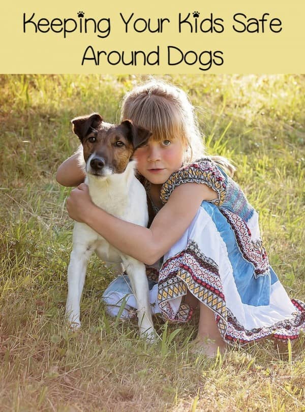 Child Safety Tips You Need to Know When Adopting a Dog