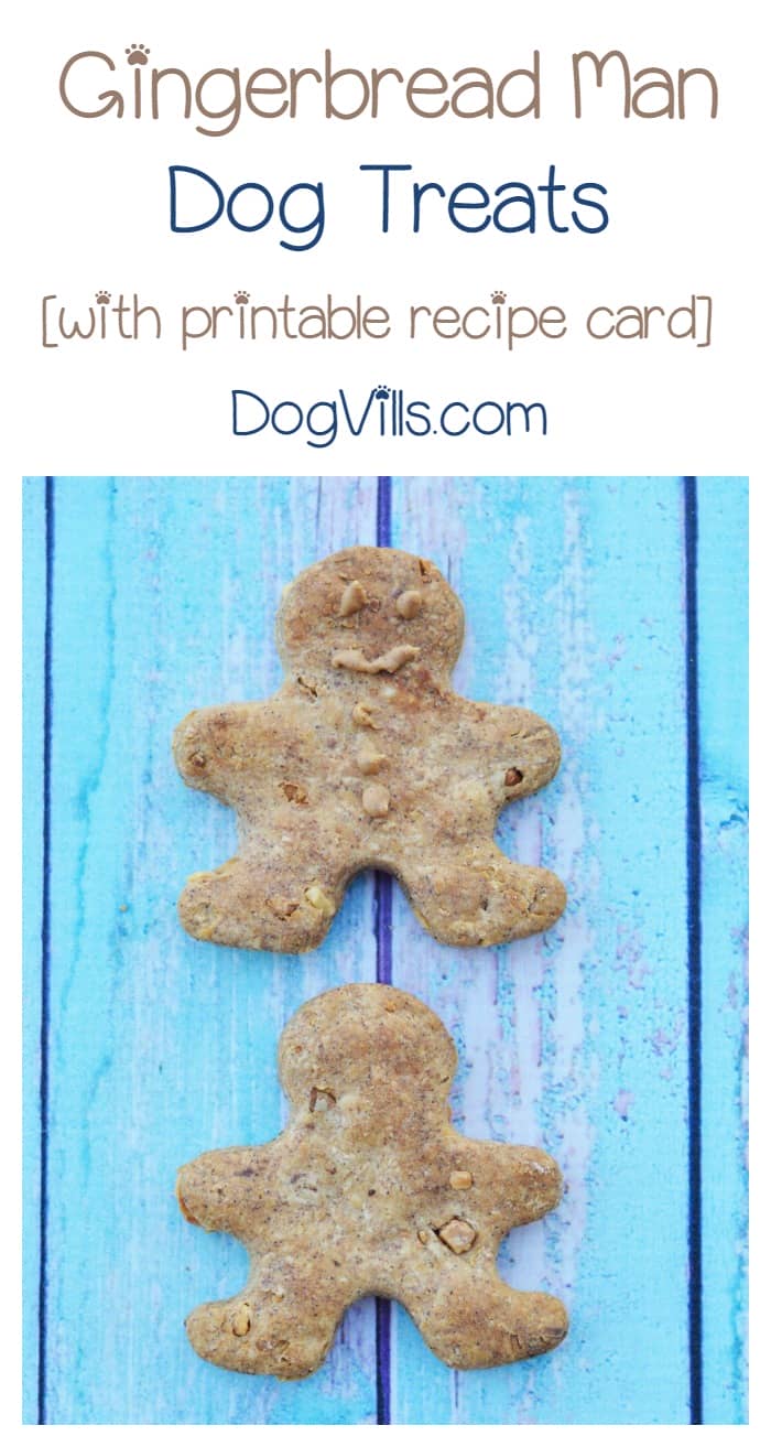 Homemade Gingerbread Man Dog Treats Recipe - DogVills