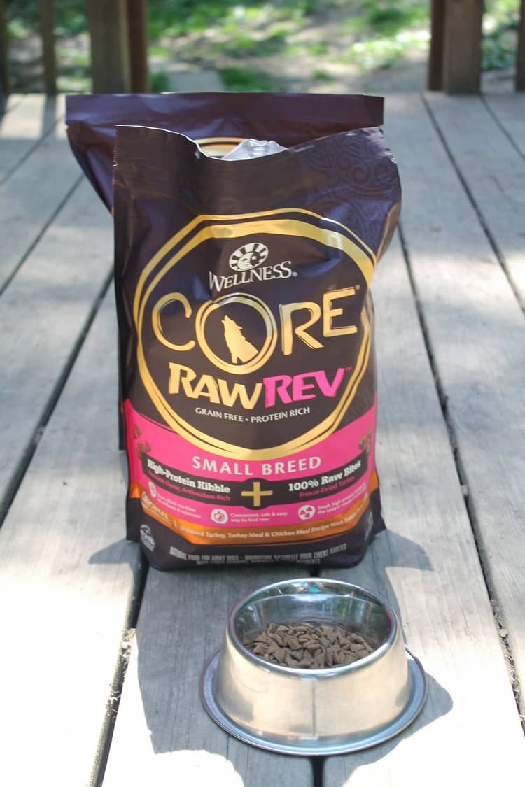 How to Unleash Your Dog's Raw Energy with Wellness® CORE™ RawRev ...