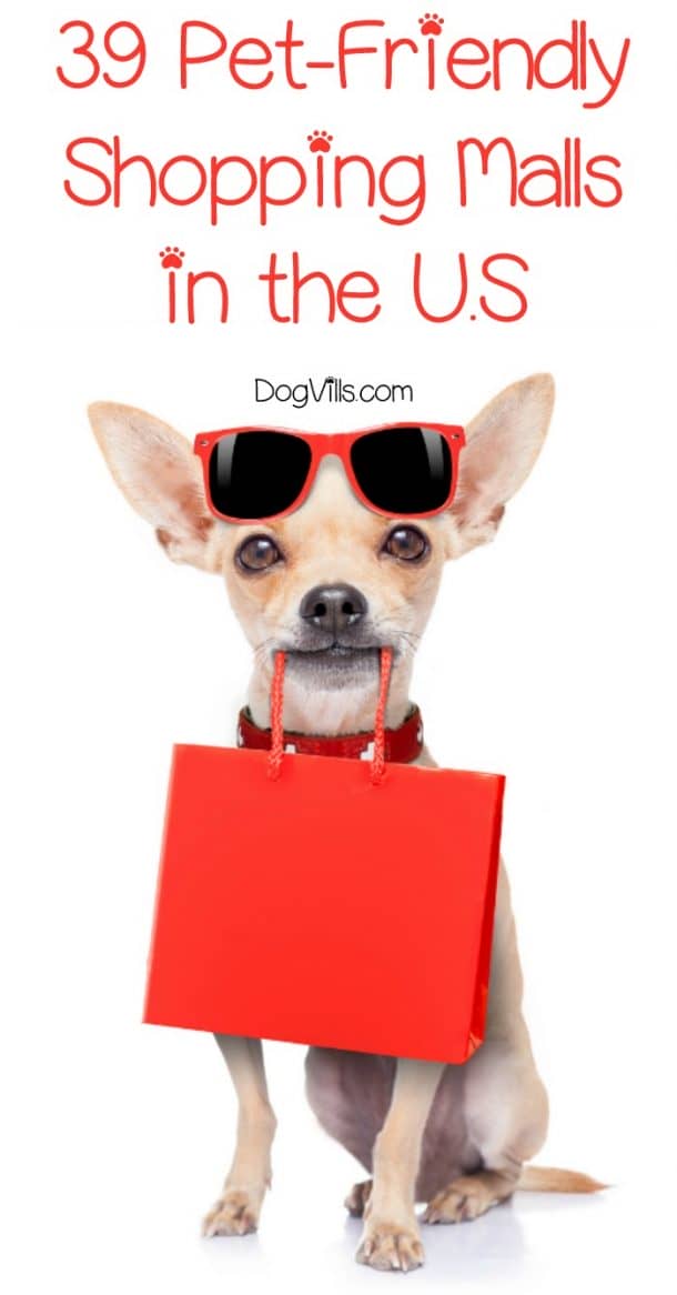 39 Pet-Friendly Shopping Malls in the U.S - DogVills