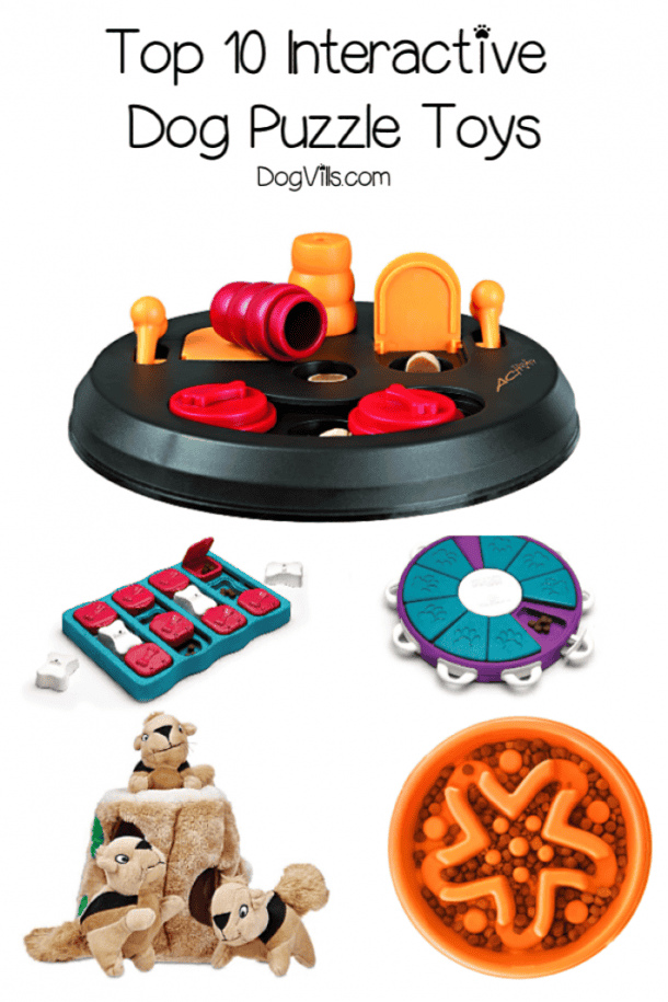 Top 10 Interactive Dog Puzzles Your Pooch Will Love - DogVills