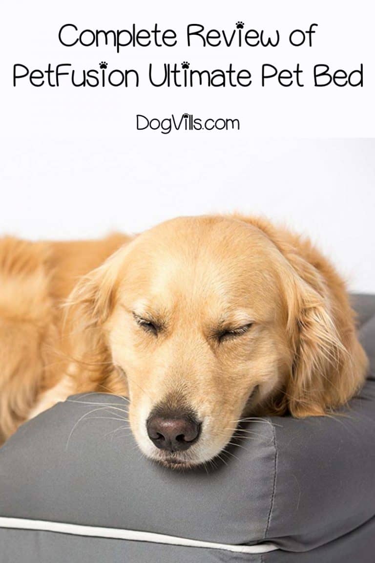 Complete Review of PetFusion Ultimate Pet Bed - DogVills
