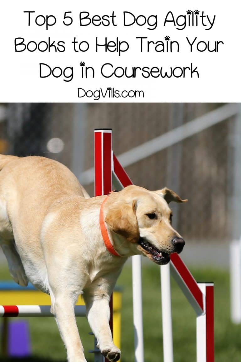 Top 5 Best Dog Agility Books to Help Train Your Dog in Coursework ...