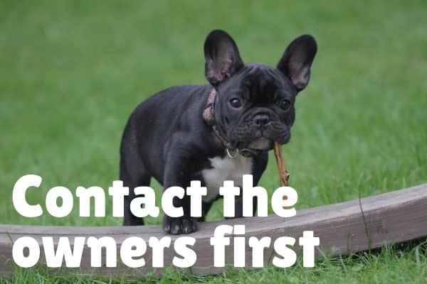 Unleashed Dogs - What to do When Your Neighbor Won't Leash - DogVills