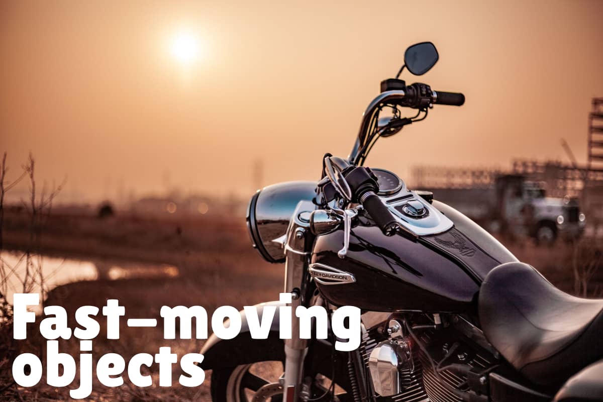 7 Common Dog Aggression Triggers - DogVills