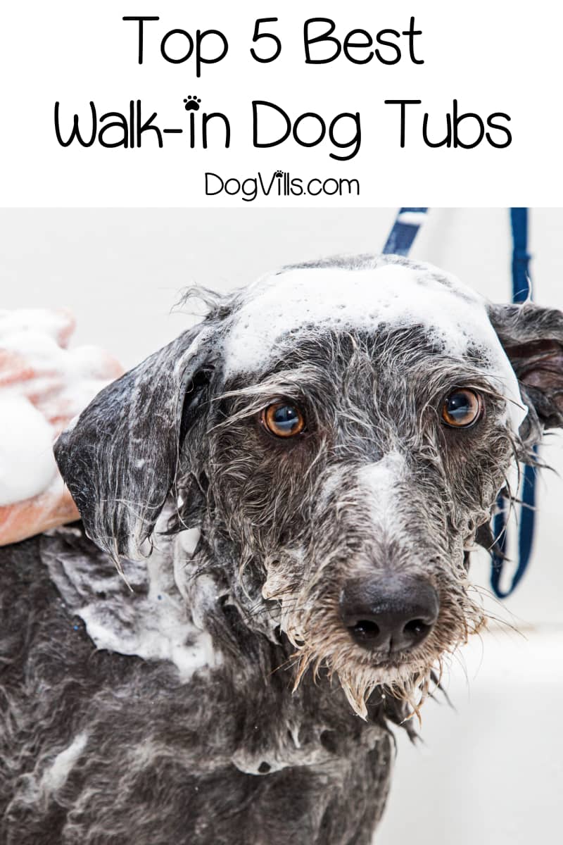 Top 5 Best Walk-in Dog Tubs - DogVills