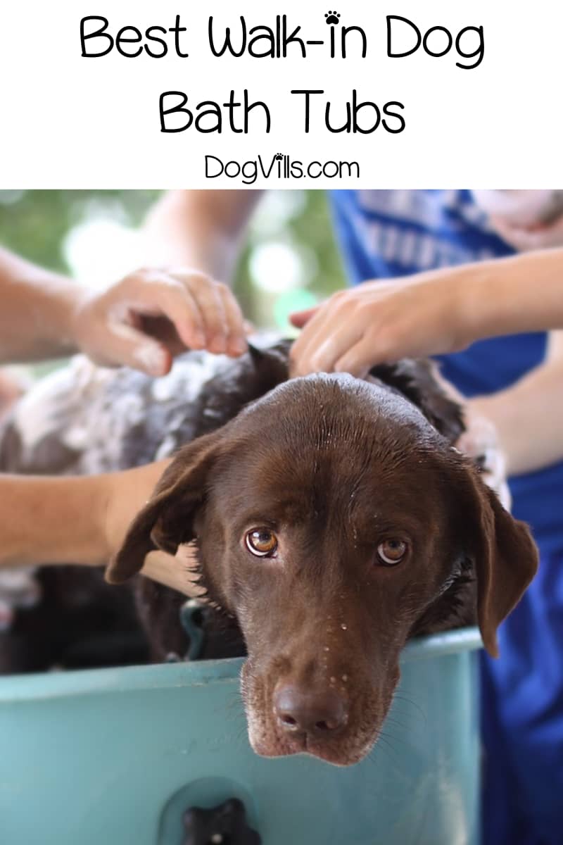 Top 5 Best Walk-in Dog Tubs - DogVills