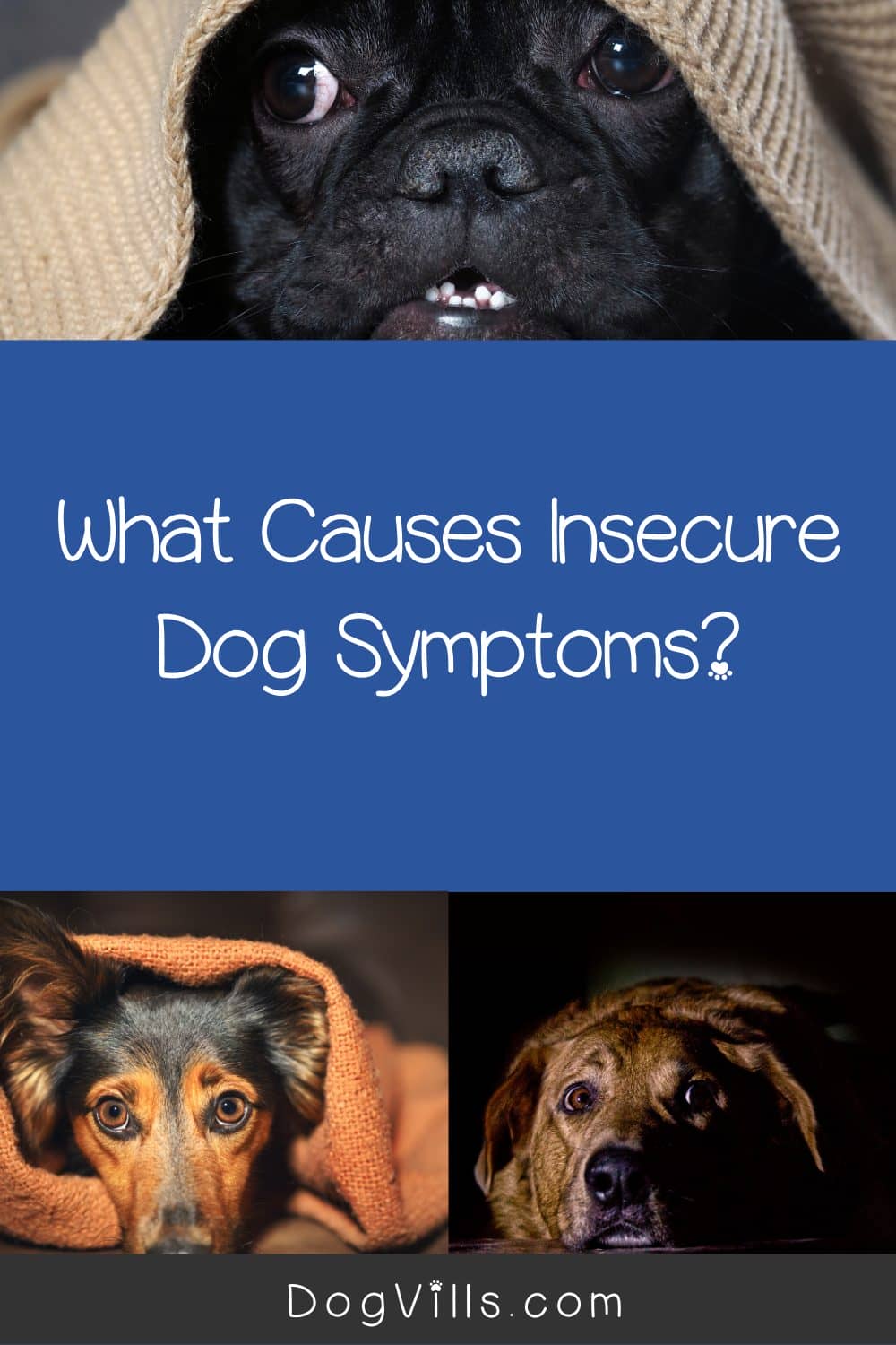 Insecure Dog Symptoms and How You Can Help - DogVills