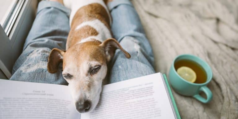 100 Truly Epic Dog Names After Book Characters - DogVills