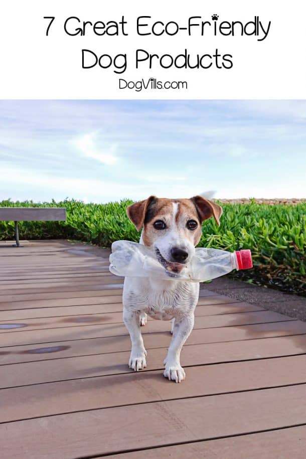 Top 6 Best Eco-Friendly Dog Products - DogVills