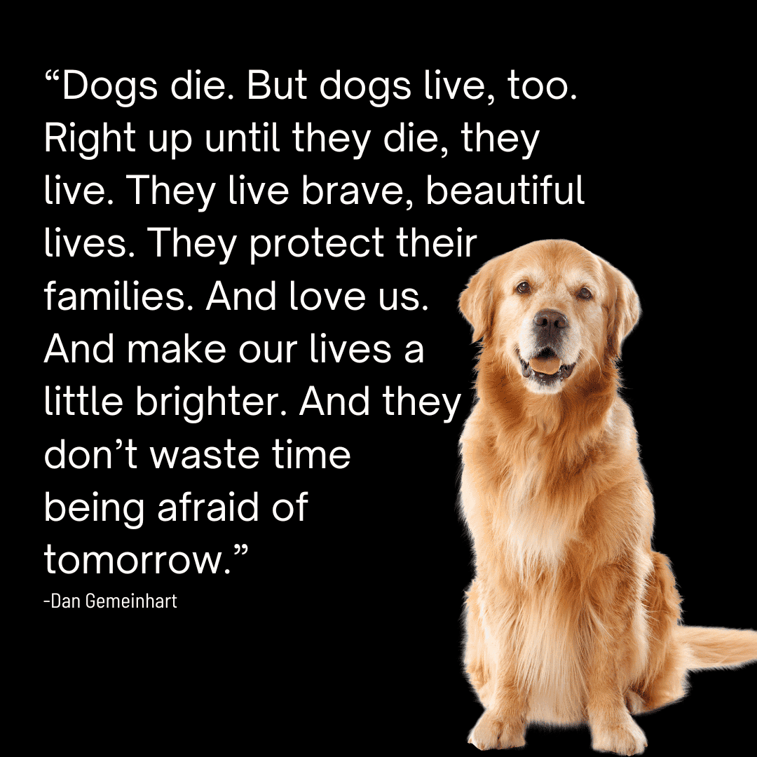 Dog Loss Quotes: 30 Beautiful Sayings to Ease Your Grief