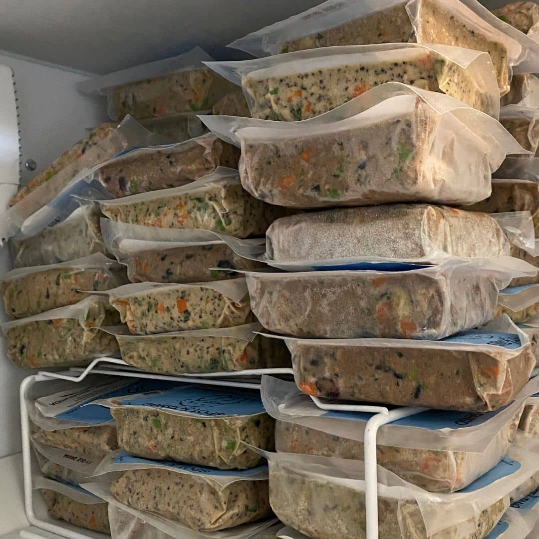 13 Best Dog Food Delivery Services of 2025 - DogVills