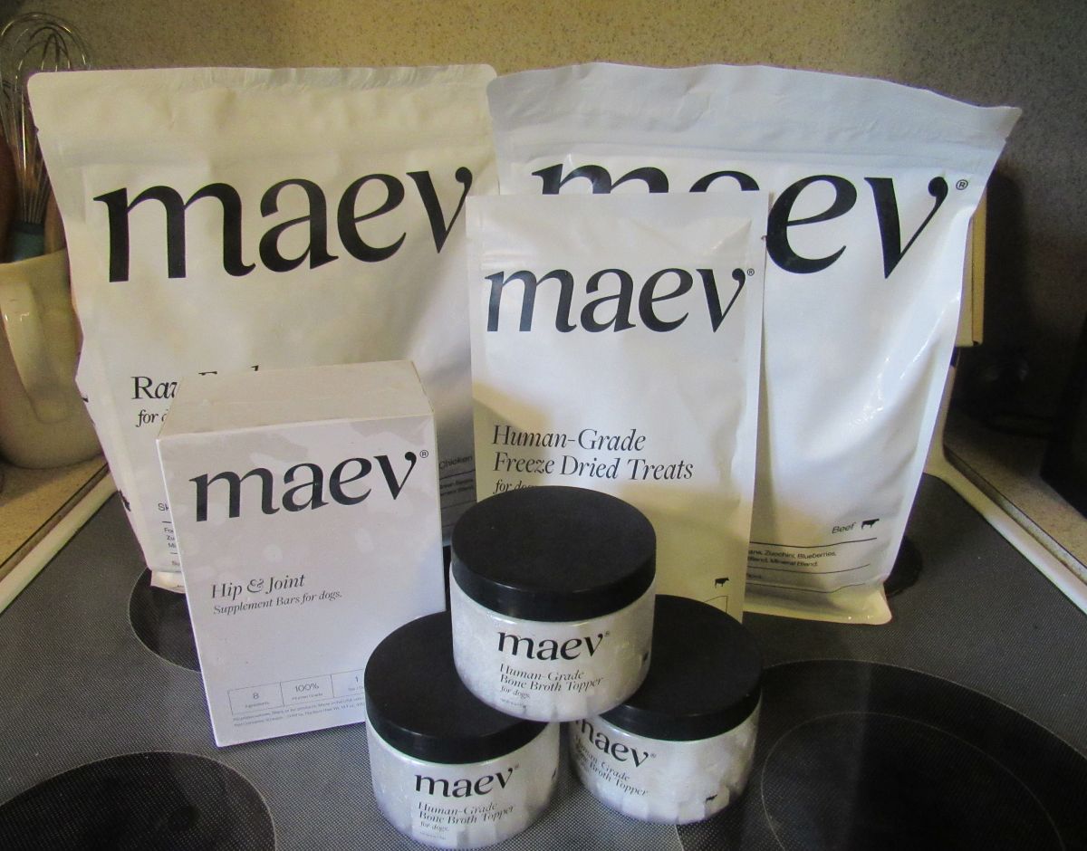 Maev Dog Food Review: Raw Feeding Without the Mess or Guesswork - DogVills