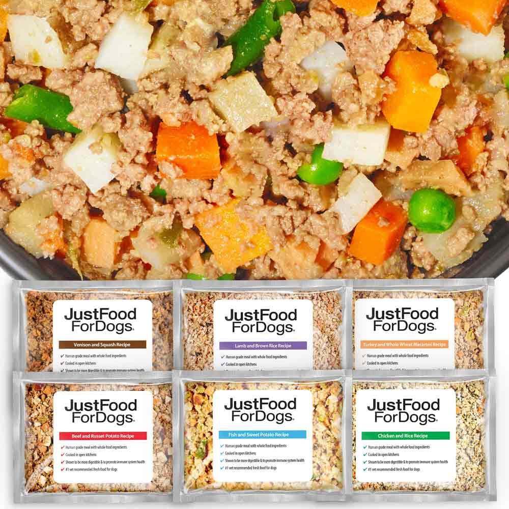 The Best Fresh Dog Food for Every Pup: From Picky Eaters to Allergy ...