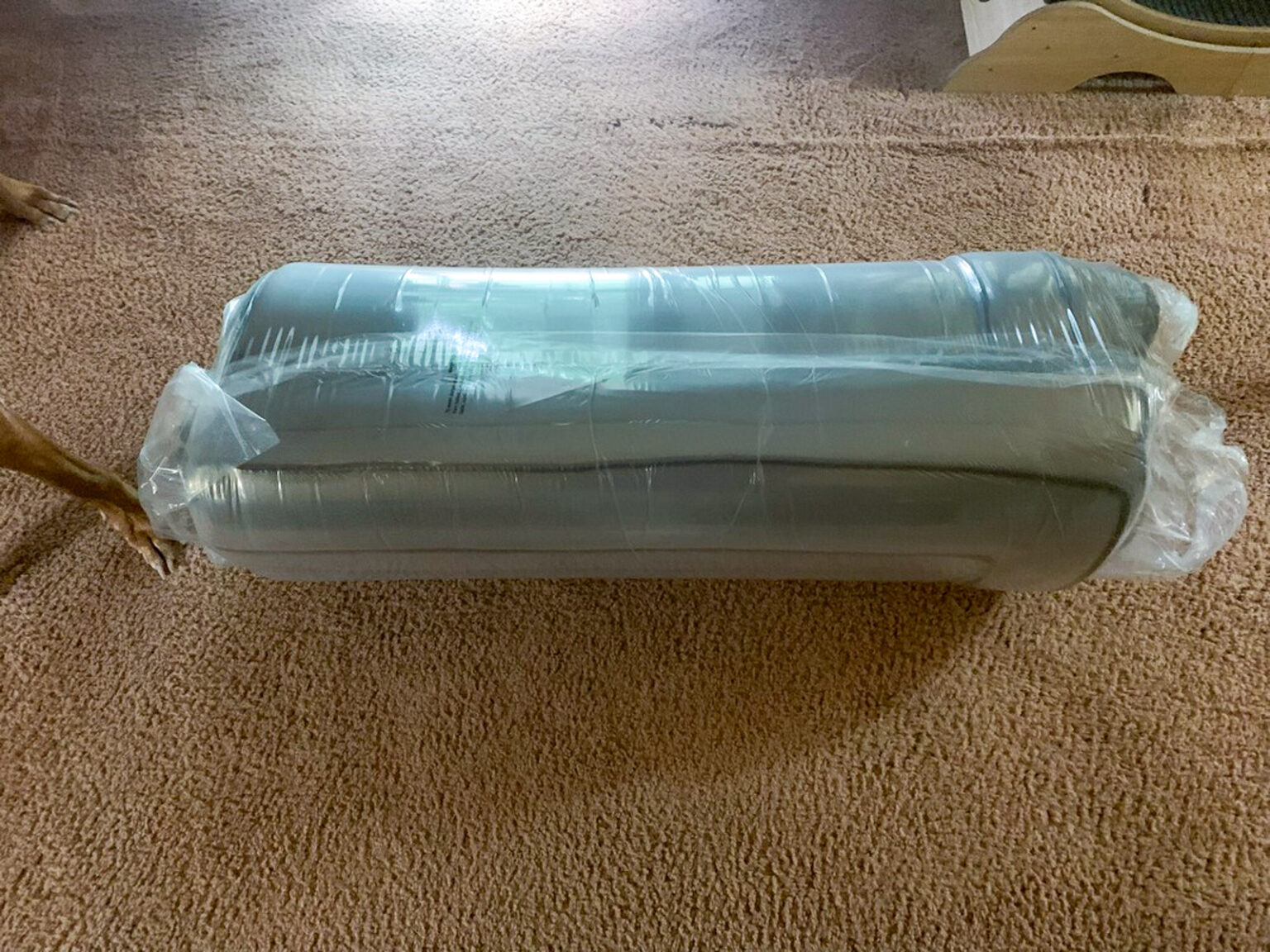 Bully Beds Orthopedic Bolster Bed Review: Is It Worth It? - DogVills