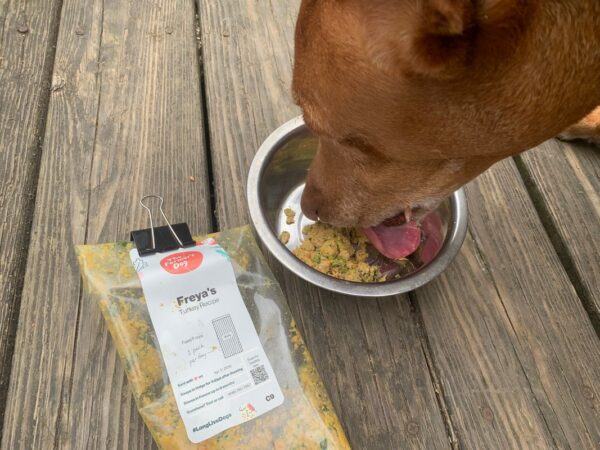The Farmers Dog Review: Fresh Food That Actually Feels Personalized ...